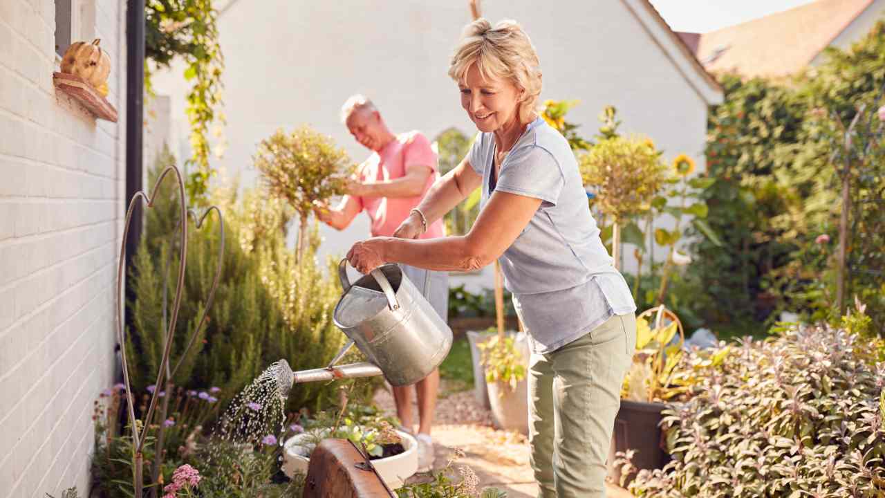 Giardino, 5 trucchi per averlo sempre curato: te lo invidieranno tutti